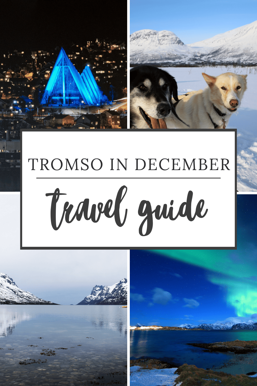 Best things to do in Tromsø in December · The Global Wizards - Travel Blog