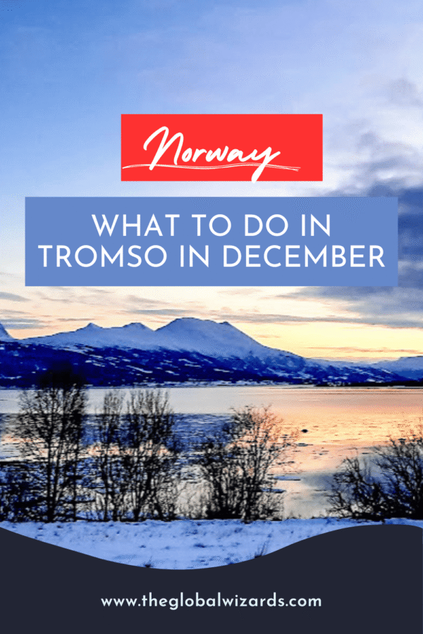 Winterse activiteiten in Tromso in December · The Global Wizards ...