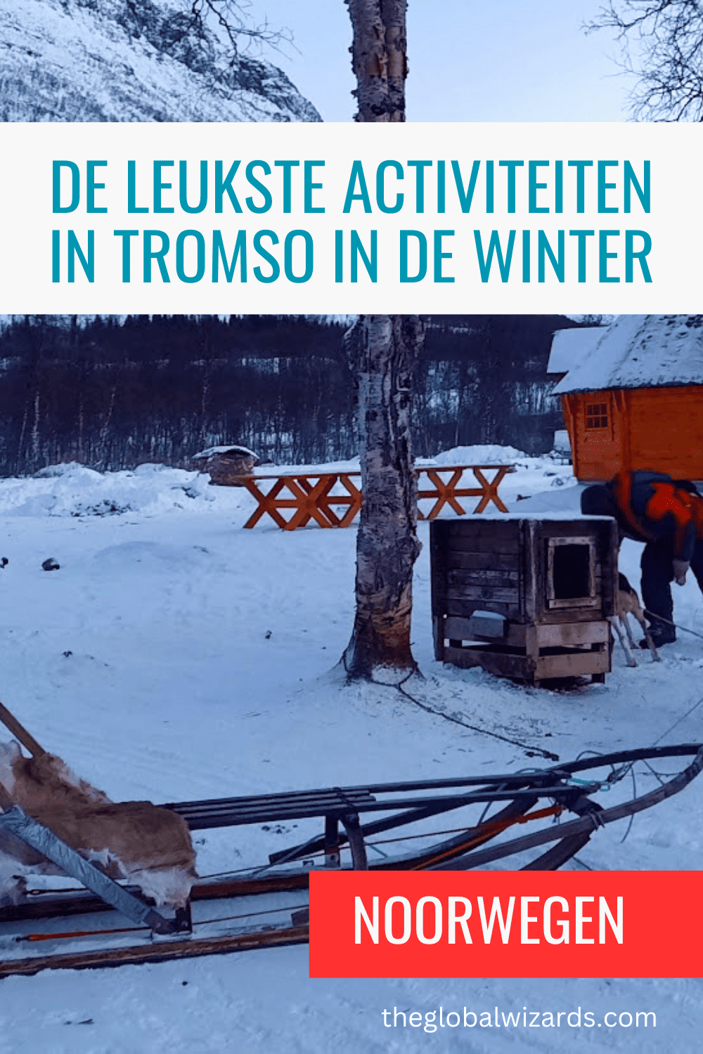 Winterse activiteiten in Tromso in December · The Global Wizards ...