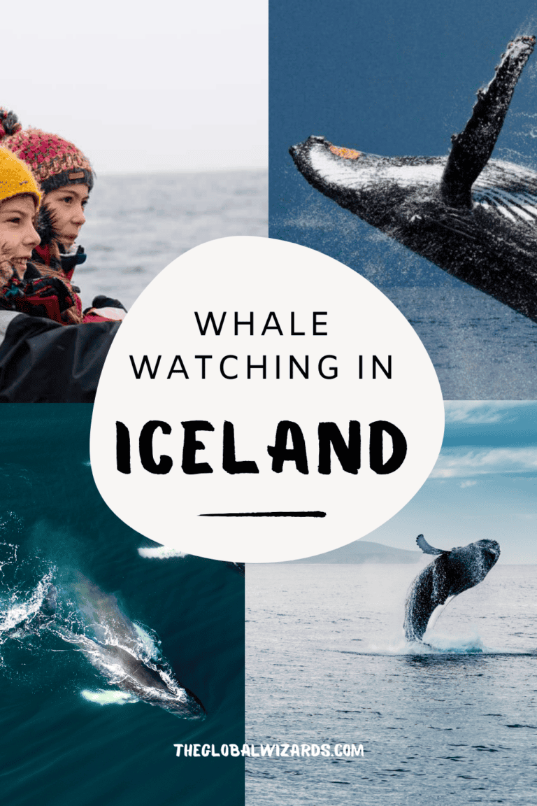 Whale Watching in Iceland: Where and When + Our Top Tips · The Global ...