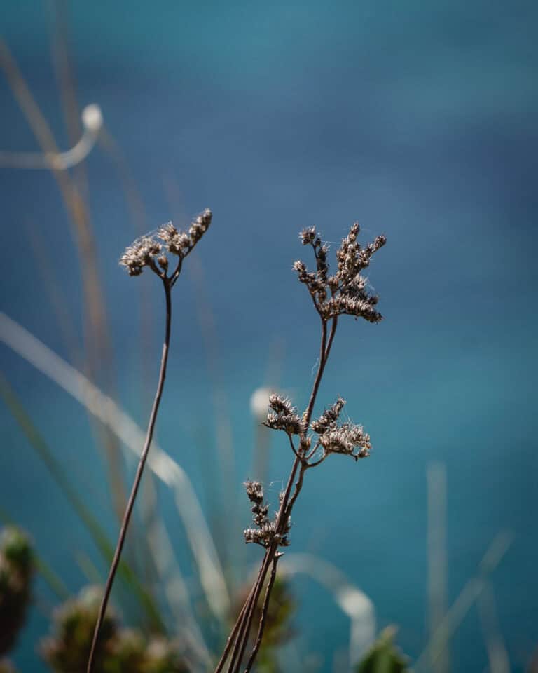 Discover the untamed beauty of the Mani Peninsula · The Global Wizards ...